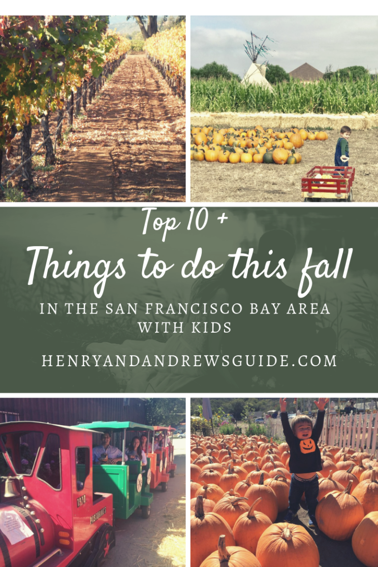 Top 10+ Things To Do This Fall in the San Francisco Bay Area with Kids ...