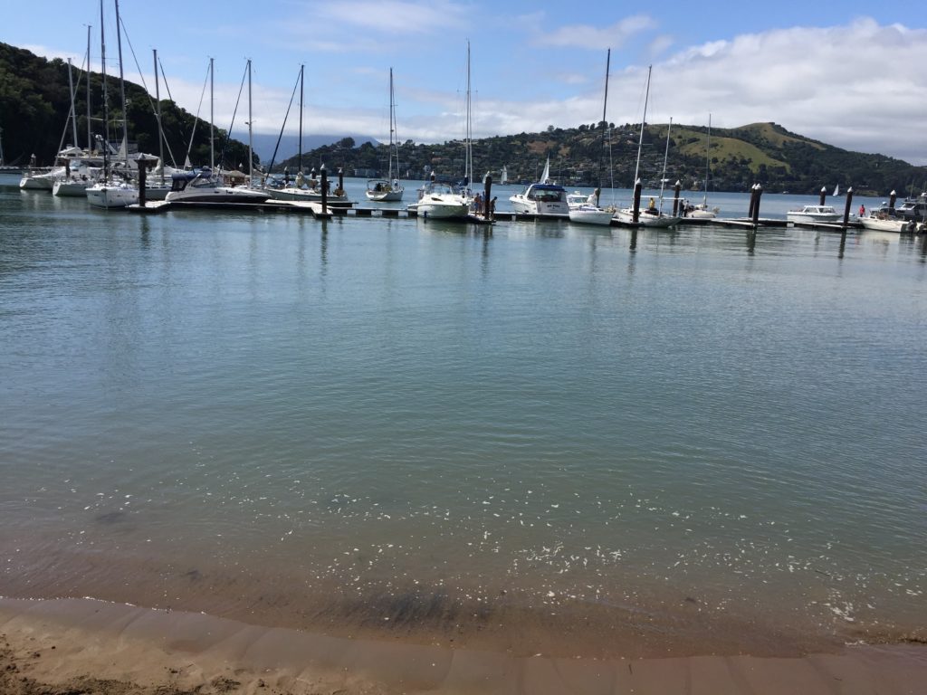 5 Places to Go on a Boat in San Francisco with Kids