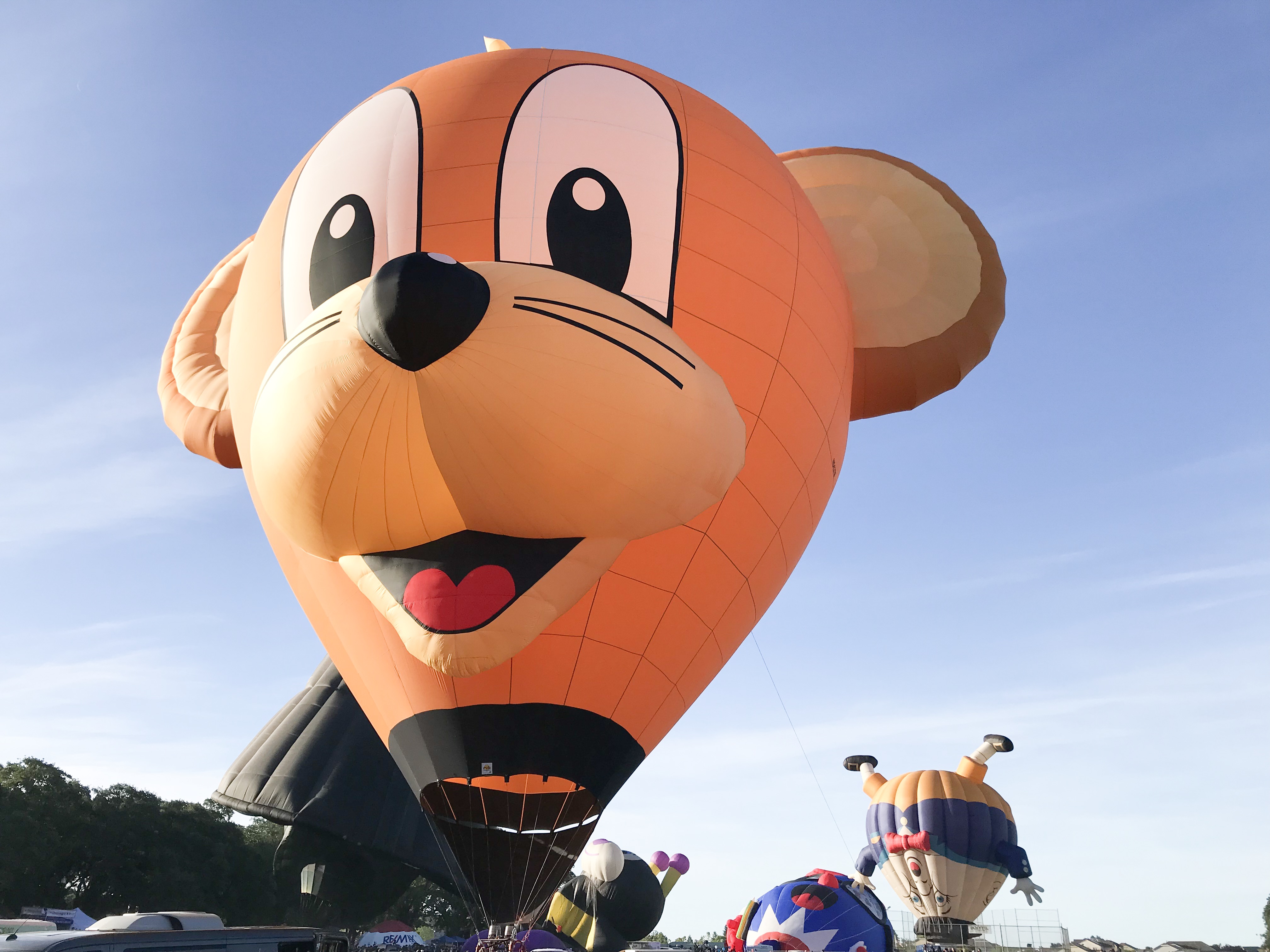 Kid Friendly Hot Air Balloon Festival | Henry and Andrew's Guide